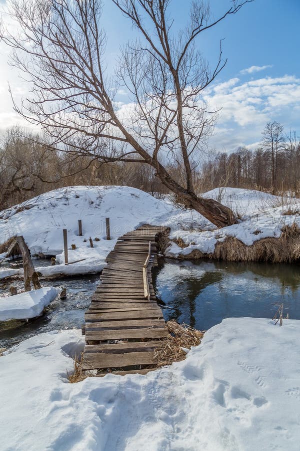Wooden Bridge Over a Stream Stock Photo - Image of reflecrion, wooden ...