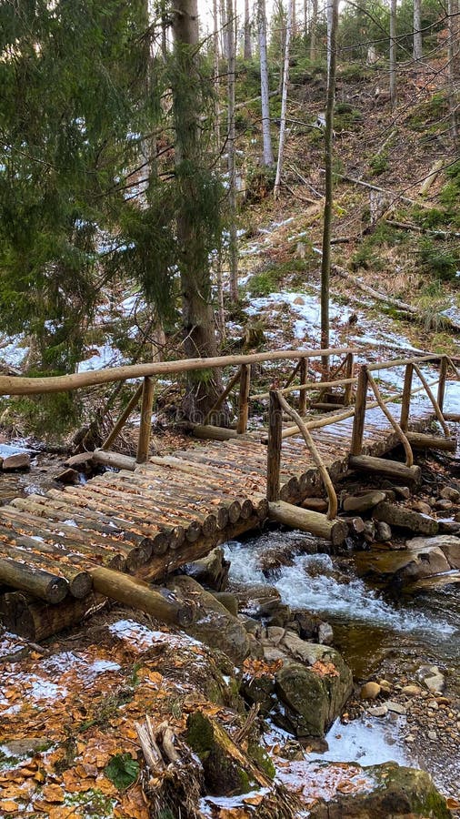 A Wooden Bridge Over a Stream in the Woods Stock Photo - Image of ...