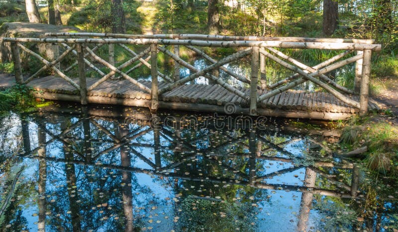 Wooden Bridge Over a Stream in the Woods Stock Photo - Image of winding ...