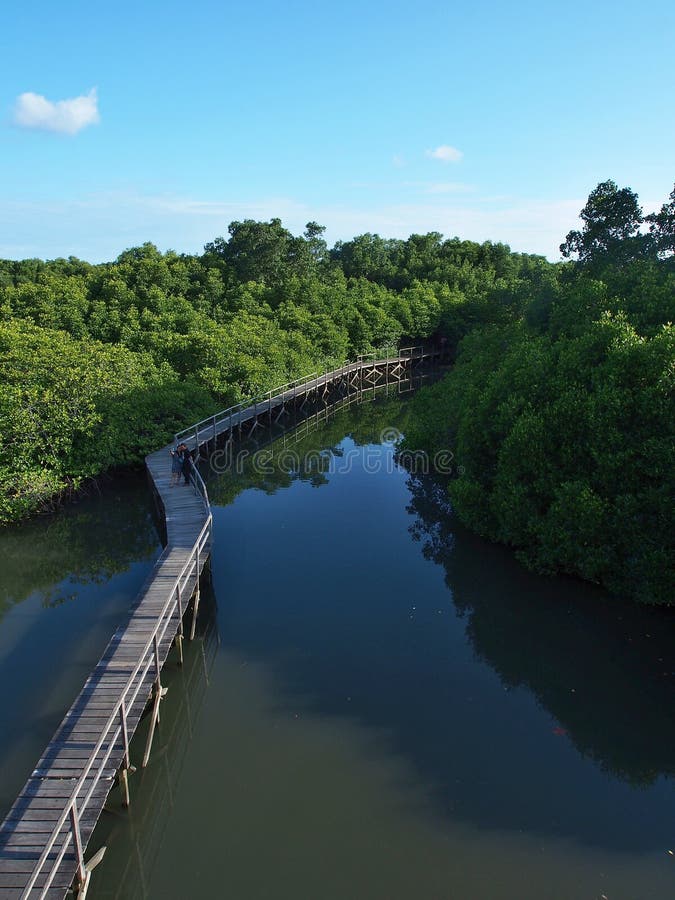 Wooden Bridge Over the Water Stock Photo - Image of cloud, forrest ...