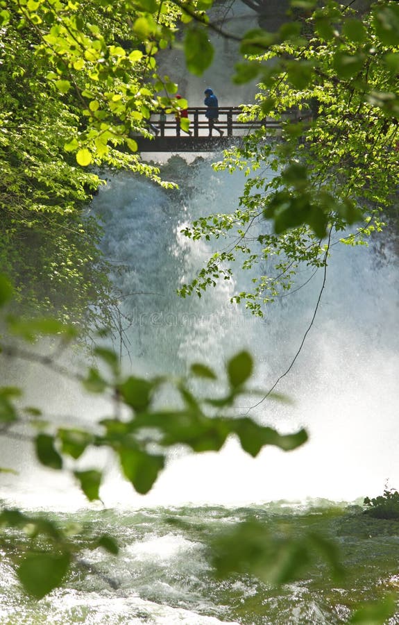 Wooden Bridge Over the Waterfalls Stock Photo - Image of freshness ...