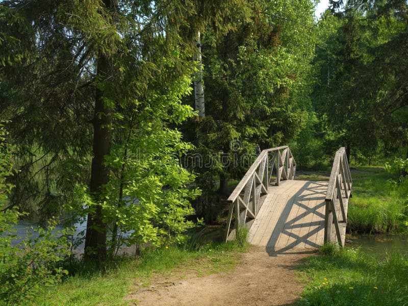 Wooden Bridge In The Park Picture. Image: 19917665