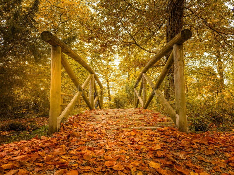 Wooden Bridge in a Park Covered with Fall Leaves Stock Photo - Image of ...