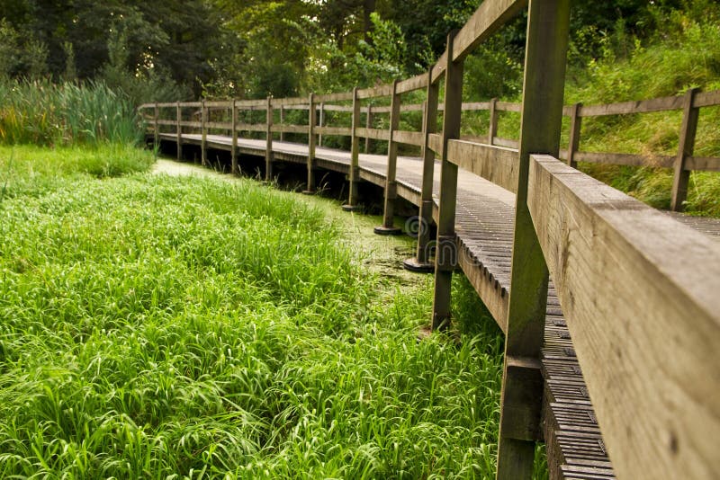 Wooden bridge path stock photo. Image of hiking, pathway - 20880410
