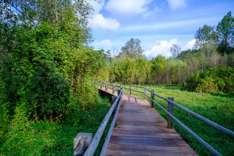A Wooden Bridge, a Path with a Railing As a Place for Tourists To Walk ...