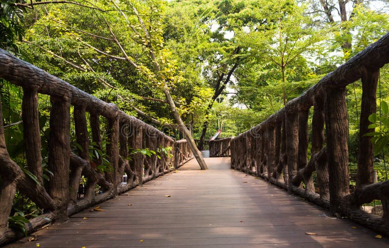 The Wooden Bridge Path among Wild Forest Stock Image - Image of forest ...