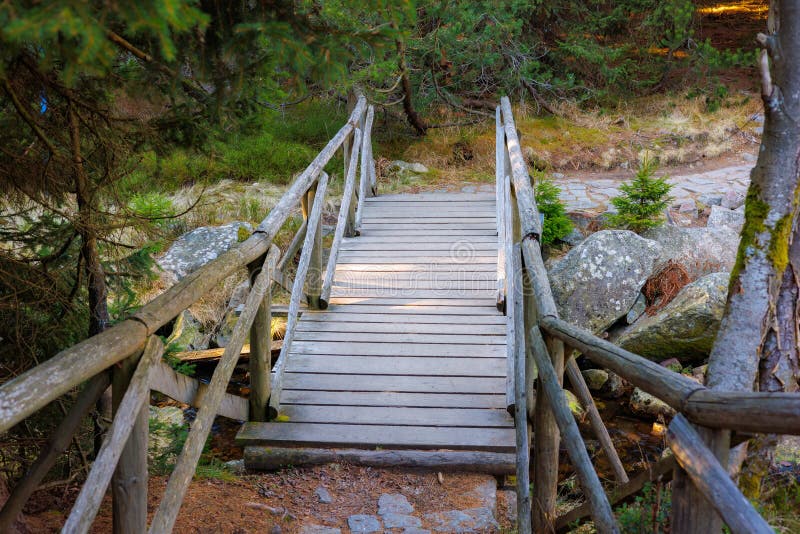Wooden Bridge with Railings Over a Stream in the Forest Stock Photo ...