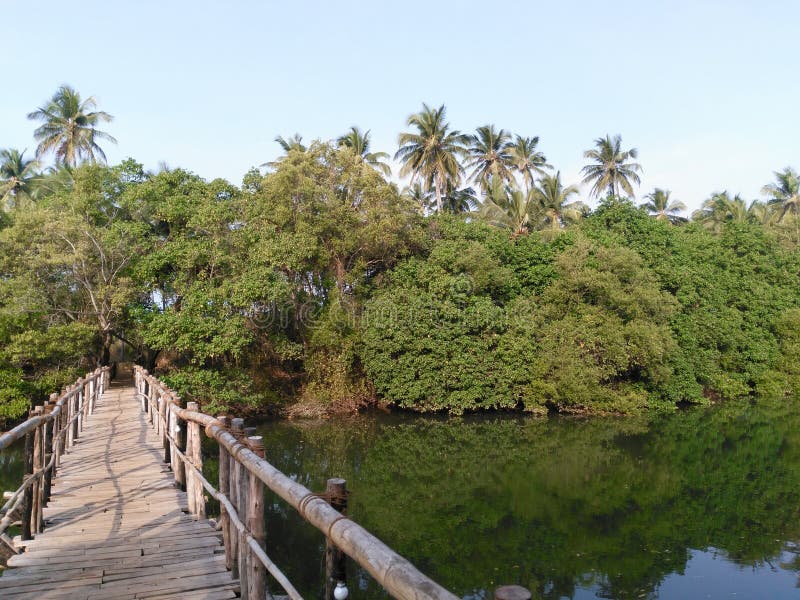 Wooden bridge stock photo. Image of rivers, nature, bridge - 71809702