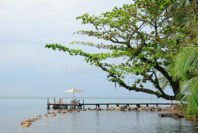 Wooden Bridge into the Sea in Summer Time Stock Image - Image of bridge ...