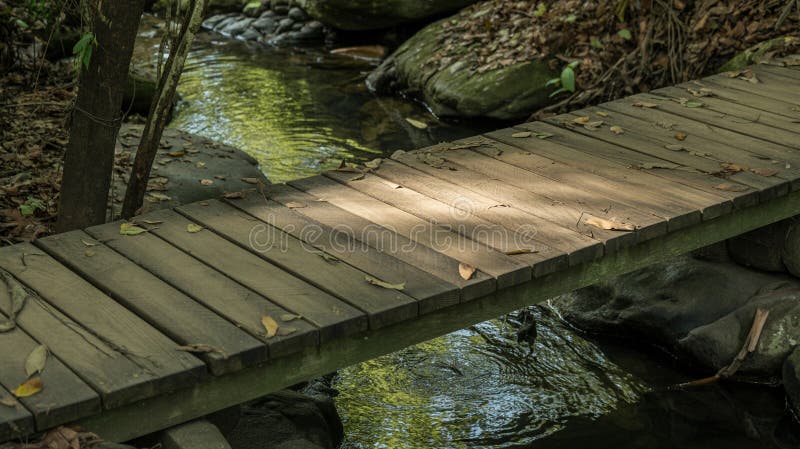 Wooden Bridge Spanning a Tranquil Stream Flowing through a Shaded ...