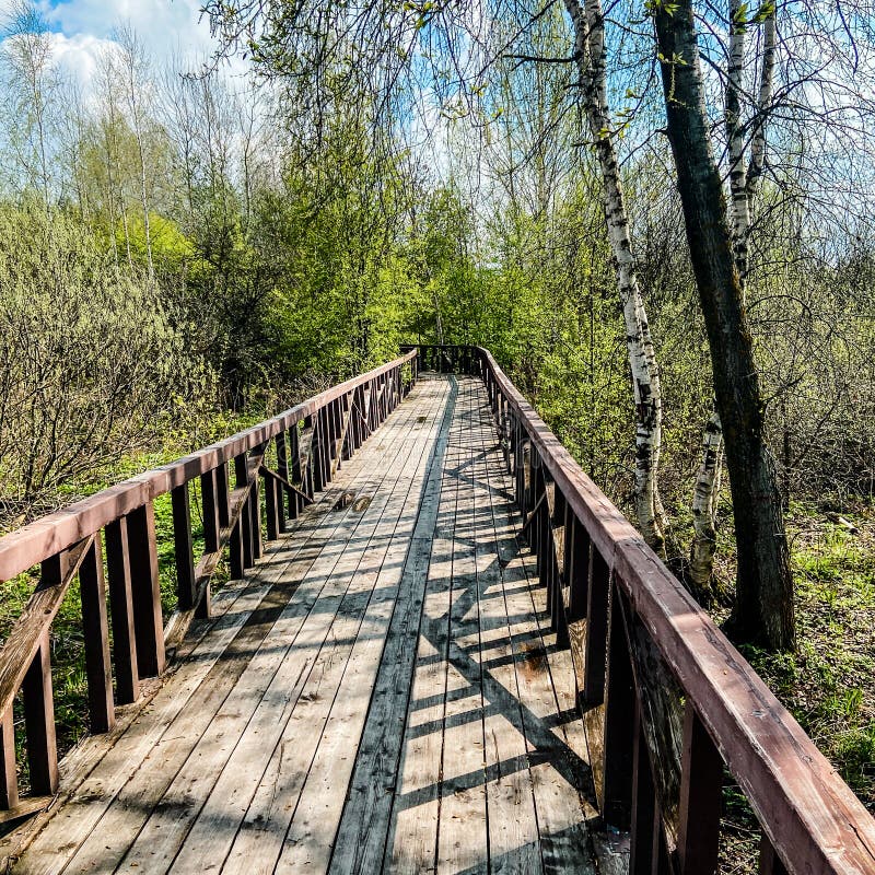 Bridge in park stock image. Image of walking, bridge - 217723947