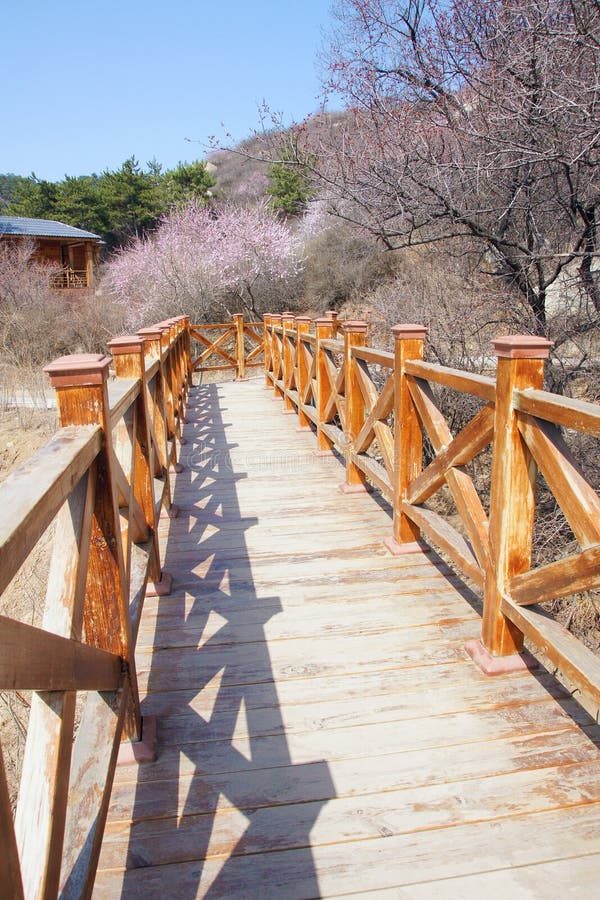 Wooden bridge stock image. Image of garden, tree, flower - 69279135