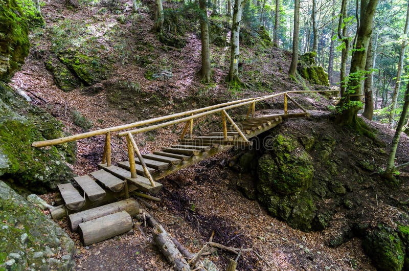 Wooden Bridge with Stairs into Forest Stock Image - Image of country ...