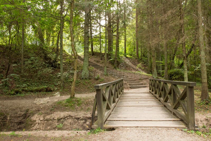 Wooden Bridge and Stairs in the Green Forest Stock Photo - Image of ...