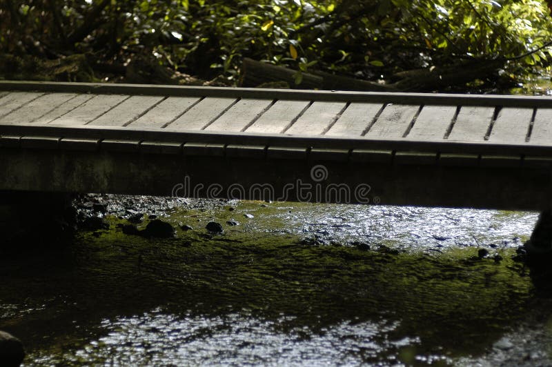 Wooden bridge and stream stock image. Image of flow, hiking - 1082389