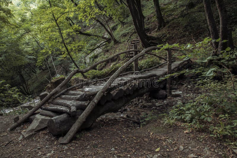 Wooden Bridge Surrounded by Greenery Stock Photo - Image of october ...
