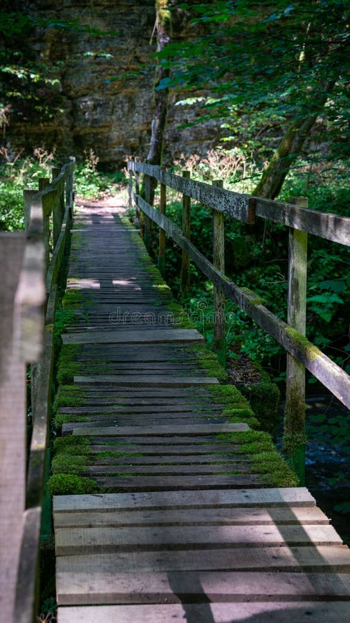 Wooden Bridge Surrounded by Growing Trees Stock Photo - Image of ...