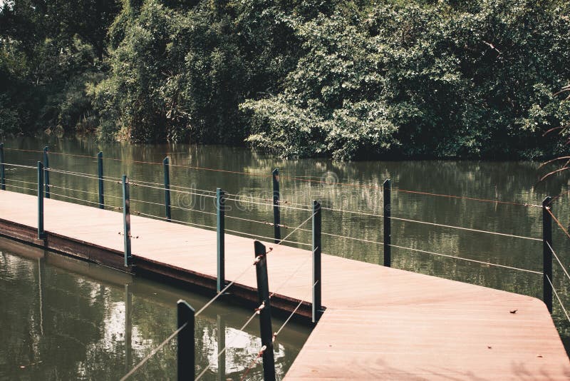 A wooden bridge in a swamp stock image. Image of woodenbridge - 120390653