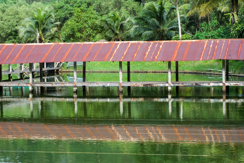 Wooden bridge stock photo. Image of wallpaper, boats - 33225842