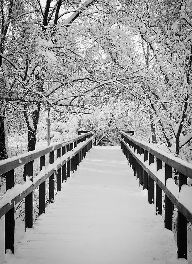 Wooden Bridge and Trees Under the Snow Black and White Stock Photo ...