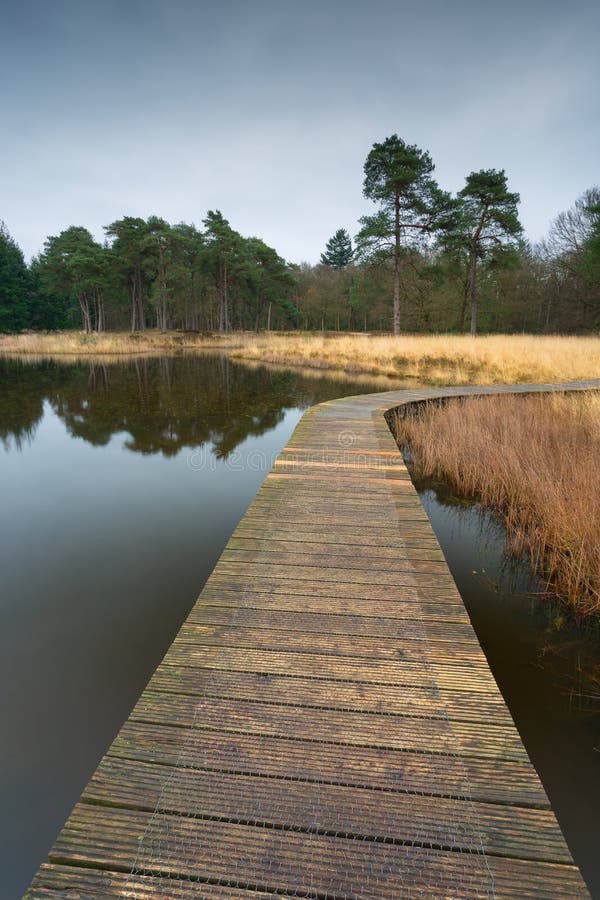 Wooden Bridge Trough Pond Stock Photos - Free & Royalty-Free Stock ...