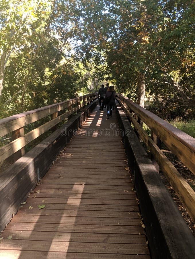 Wooden Bridge walk editorial image. Image of path, trees - 168455270