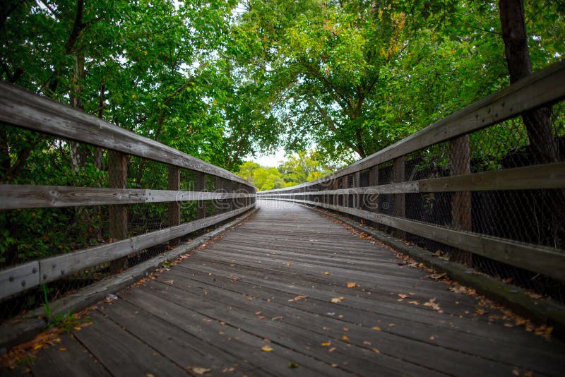 Wooden Bridge stock photo. Image of bridge, wooden, walkway - 51010748