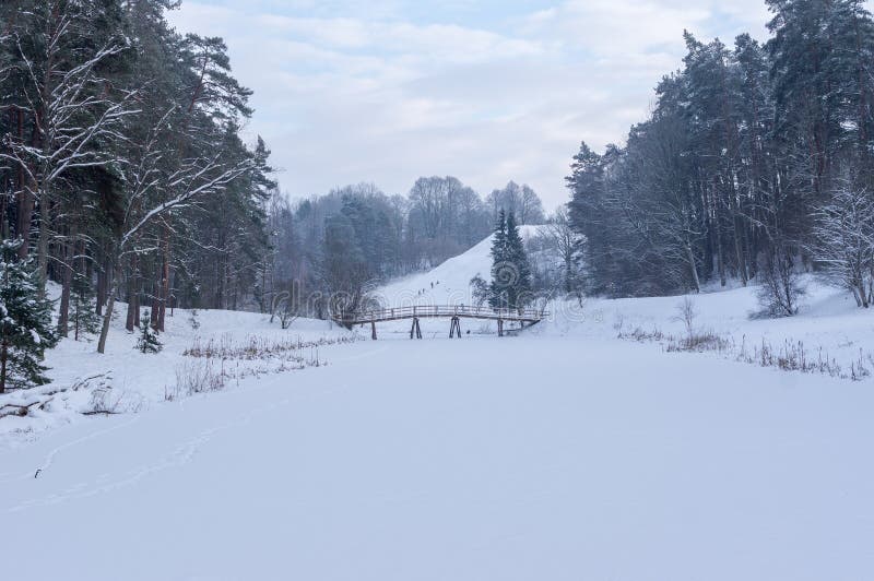 Wooden bridge in winter stock image. Image of winter - 65553167