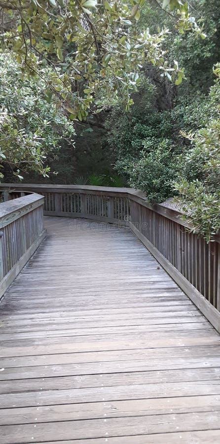 Jekyll island broad walk stock image. Image of wooden - 243618745