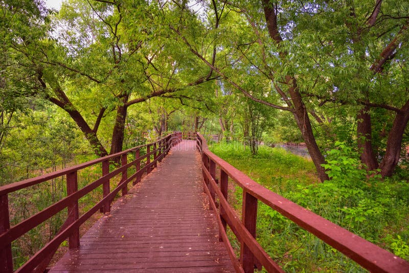 Wooden Brown Bridge in the Park, Autumn Park, Wooden Path, Distance ...