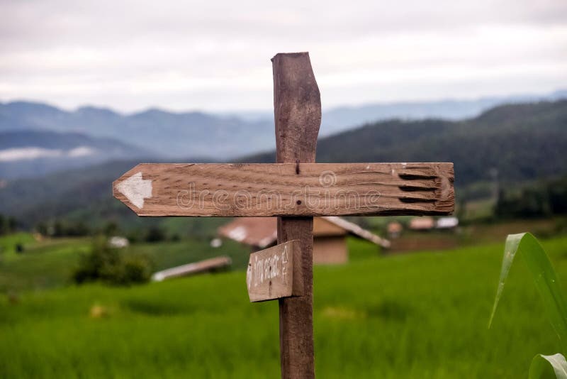 Wooden brown sign stock photo. Image of nature, element - 237587294