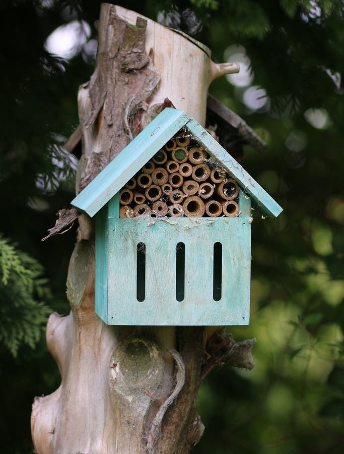 Wooden Bug Hotel with Bamboo Canes Stock Photo - Image of paint, stem ...