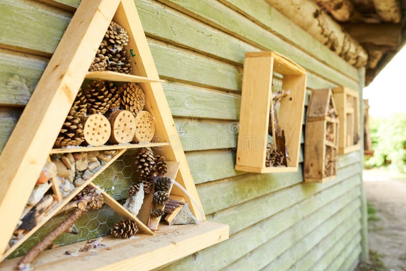 Wooden Bug House Hanging on a Wall Stock Photo - Image of school, pupil ...