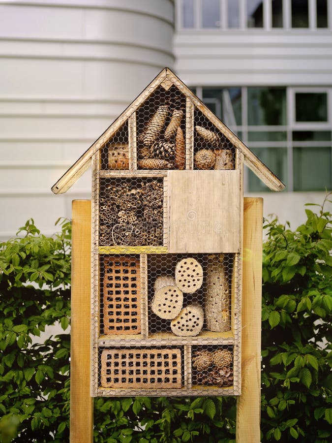 Wooden Bug Insect House Hotel in Public Park. Stock Photo - Image of ...