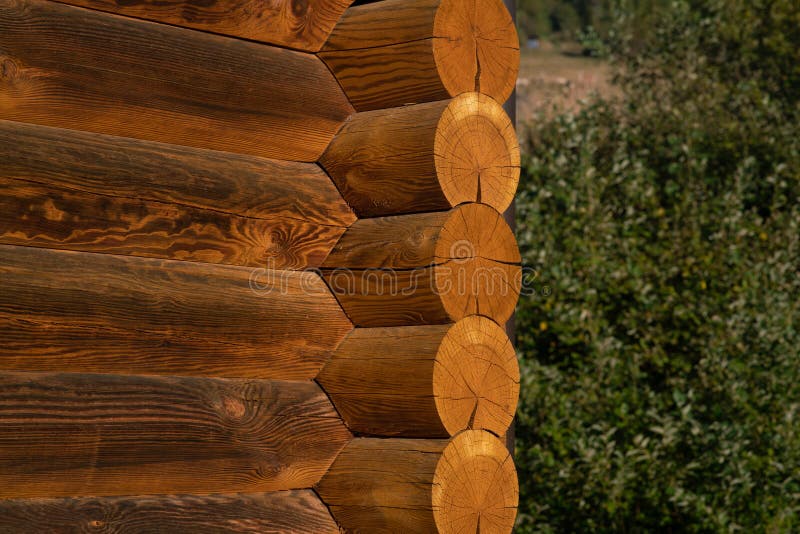 Wooden Building, with Construction Details and Facade with Exposed ...