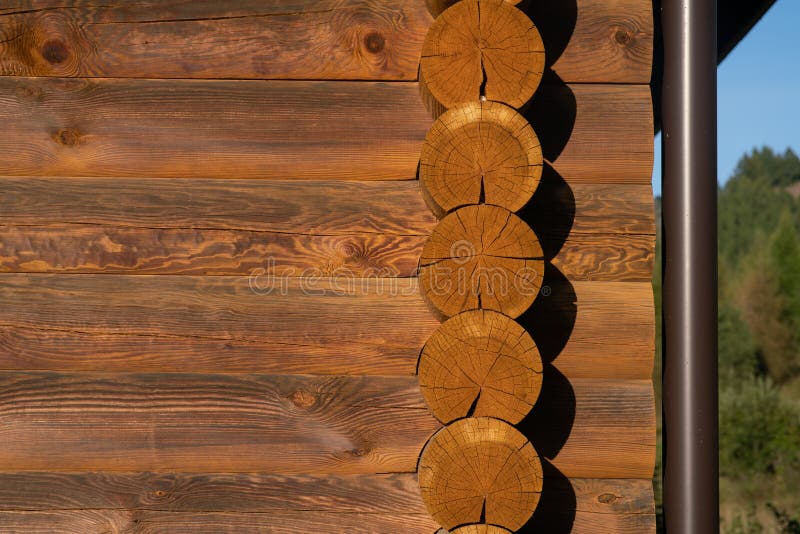 Wooden Building, with Construction Details and Facade with Exposed ...