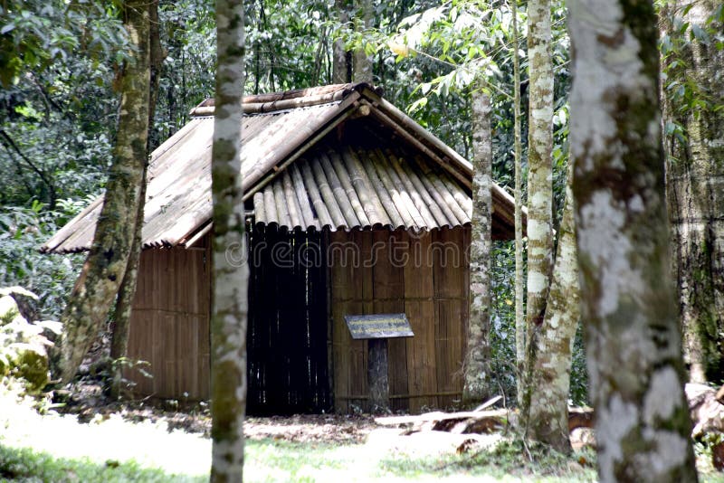 Wooden Building in the Forest.bamboo Hut Editorial Photo - Image of ...