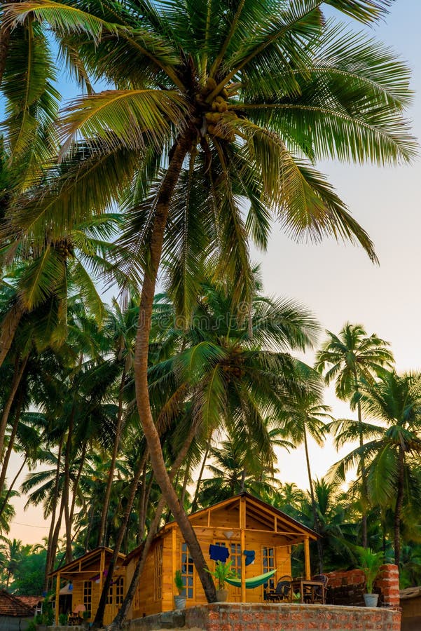 Wooden Bungalow among Tropical Palms Stock Photo - Image of coconut ...