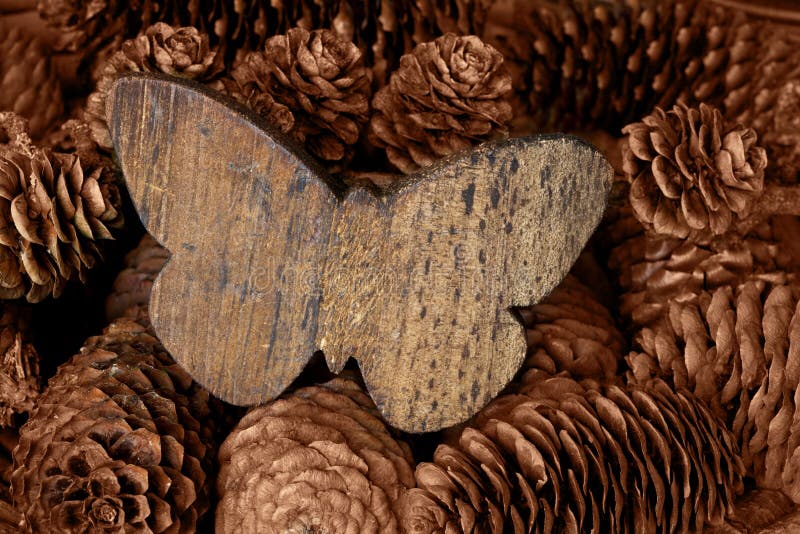 Wooden butterfly stock photo. Image of natural, wood - 18084436