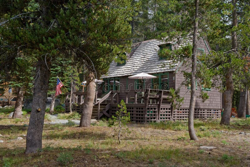 Wooden cabin in forest stock photo. Image of lodge, wood - 7311824