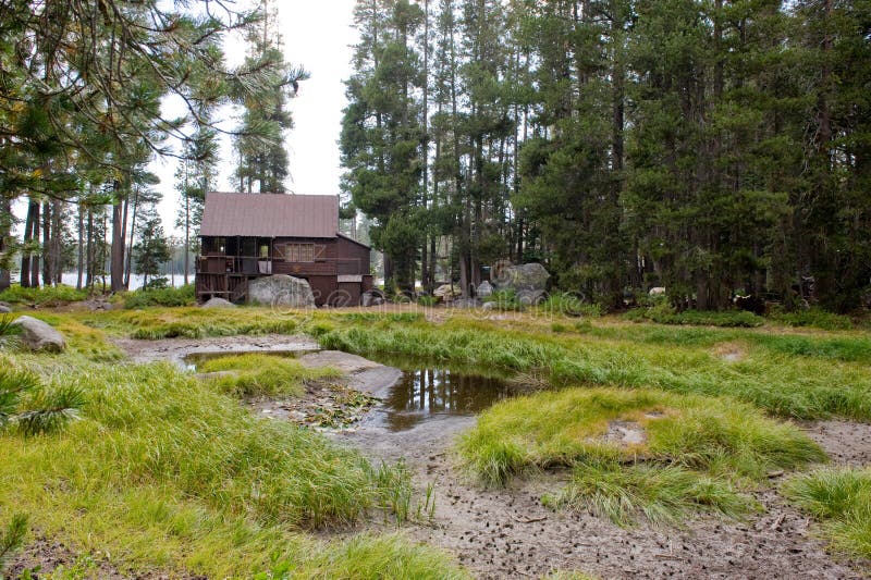 Wooden cabin in forest stock image. Image of nature, cabin - 7596071