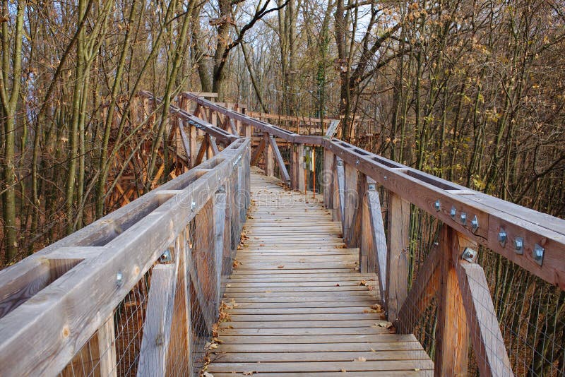 Wooden canopy trail stock photo. Image of garden, green - 135563406