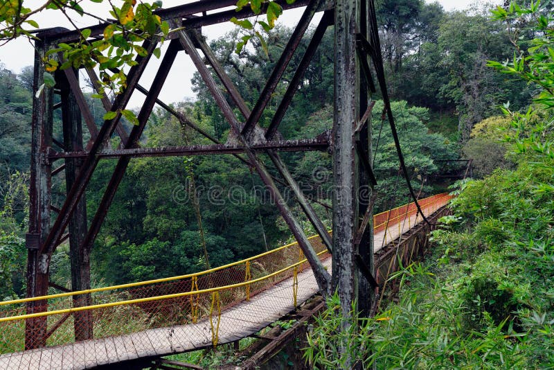 Wooden Canopy Walkway Connected Two Sides of the Forest Stock Photo ...