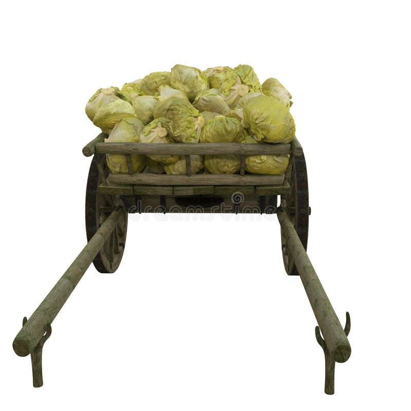 Wooden cart with cabbage stock image. Image of ingredient - 146414883