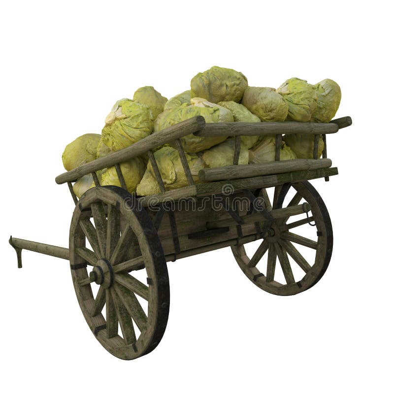 Cabbage Transport Stock Photos - Download 305 Royalty Free Photos