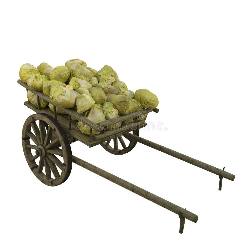 Wooden cart with cabbage stock image. Image of growth - 146414913