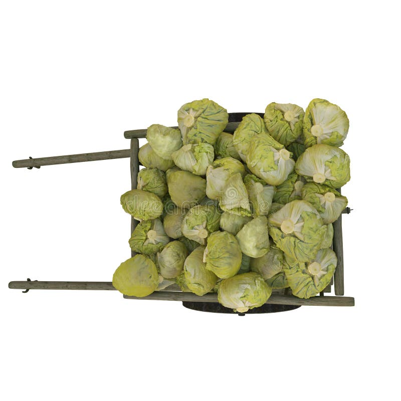 Wooden cart with cabbage stock image. Image of grow - 146414925