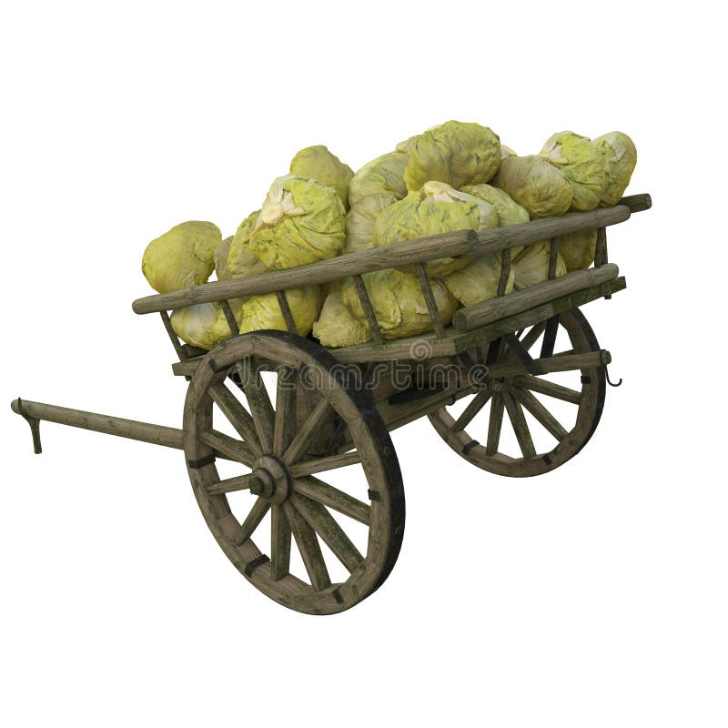 Wooden cart with cabbage stock photo. Image of cultivation - 146414990