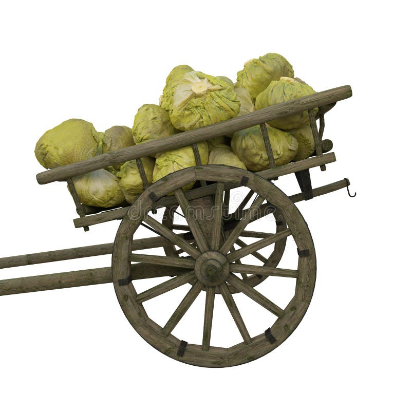 Wooden cart with cabbage stock image. Image of garden - 146415009