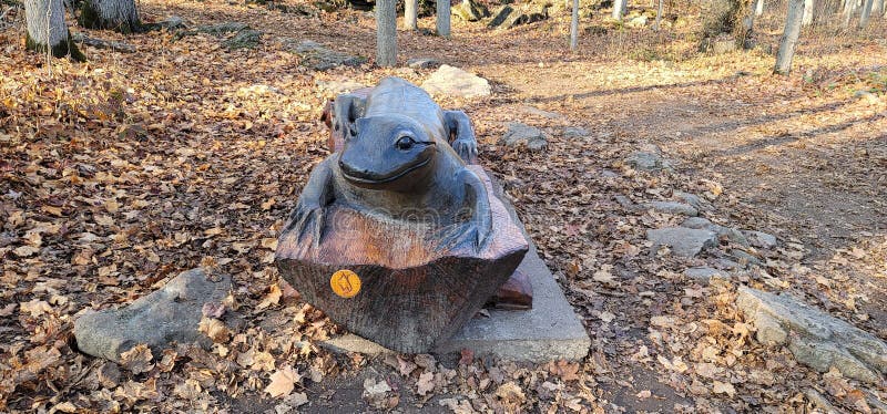 Wooden Carving of a Lizard in the Forest at Crawford Lake Stock Photo ...